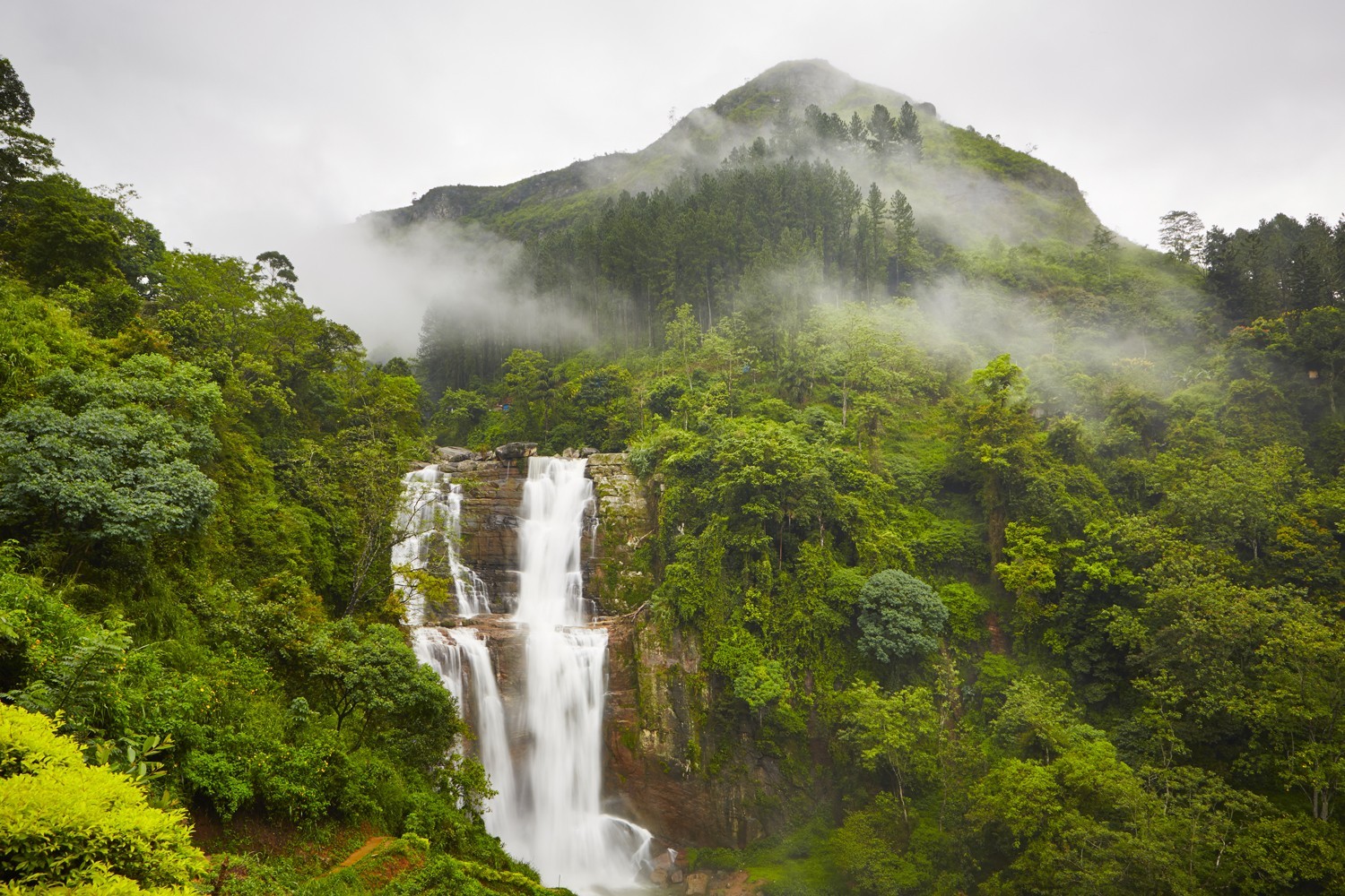 Sri Lanka - 6D5N Ceylon Nature Tour | Colombo | Sri Lanka | Land Only ...