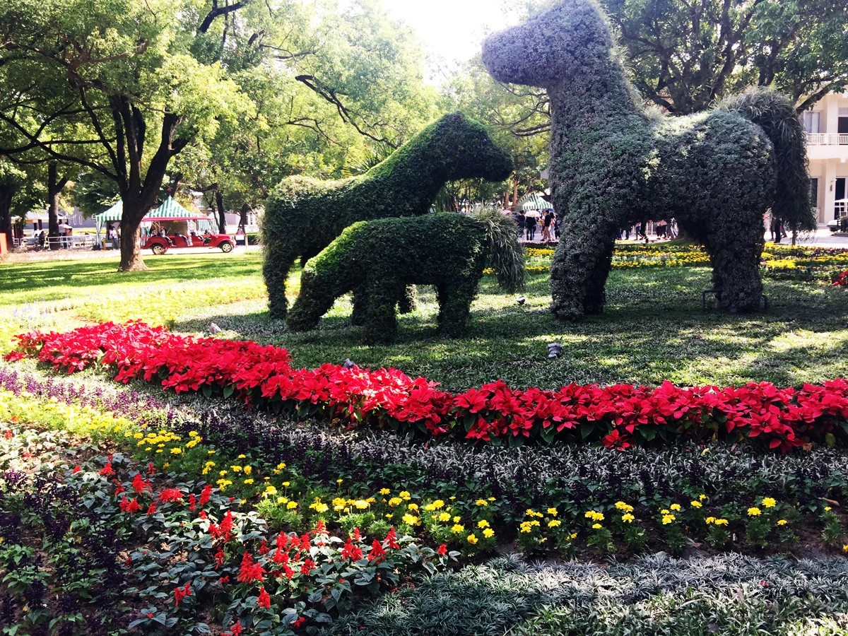 Flora Blooming Taiwan Tour - 7D6N | Taiwan | Taiwan | Air Inclusive ...