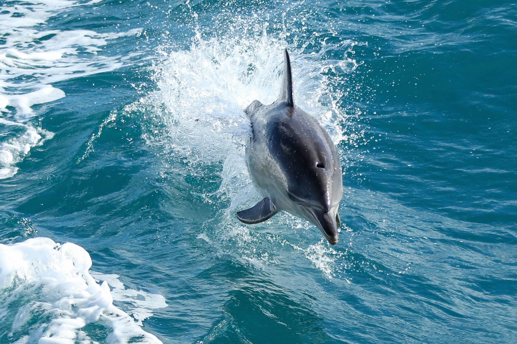 Sydney - 5D4N Experience Sydney | Sydney | Australia | Land Only Tour ...