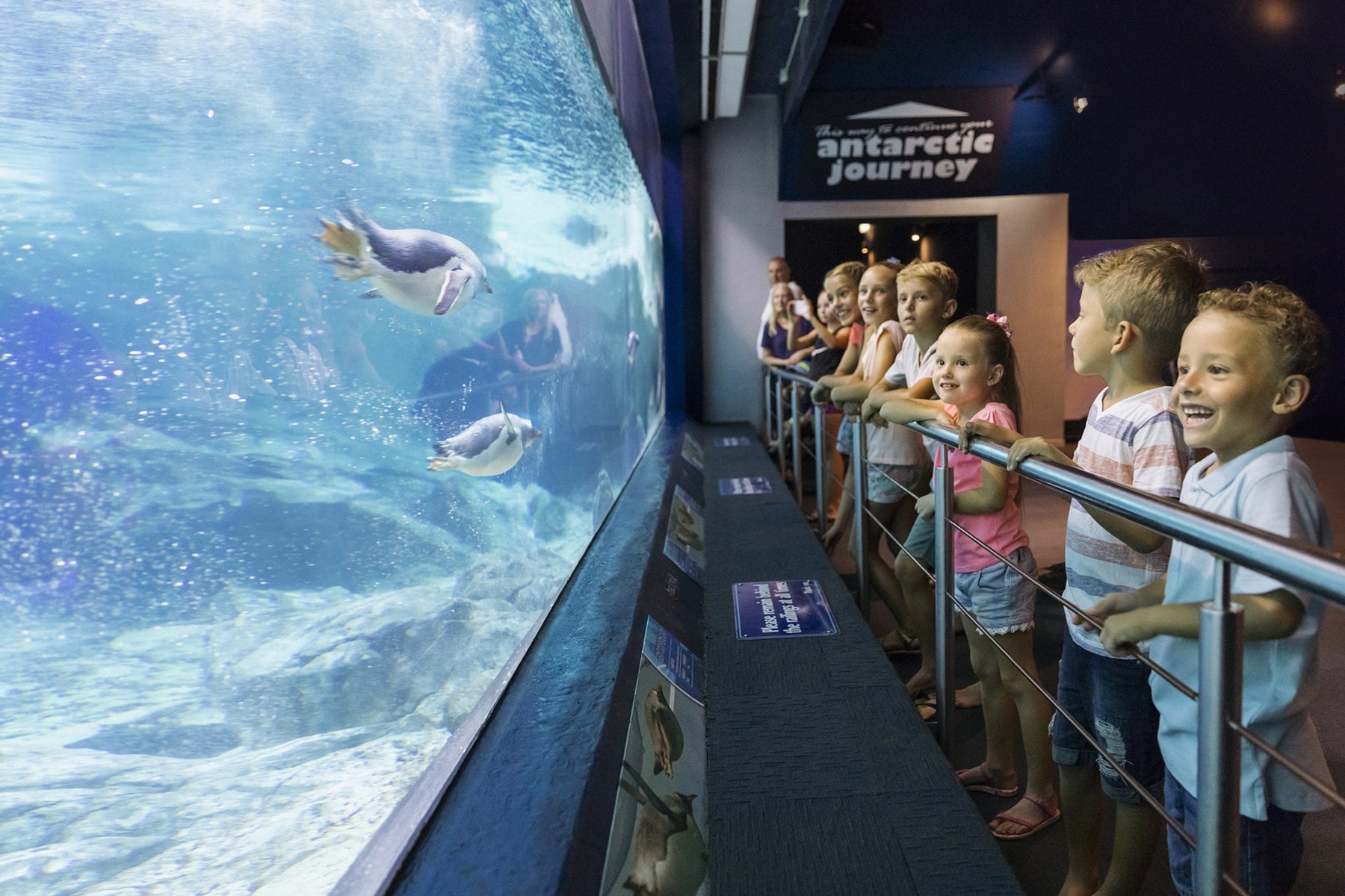 Gold Coast - 5D4N Gold Coast Fun & Country Tour | Gold Coast ...