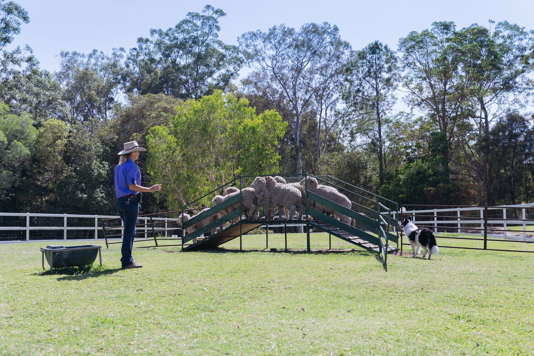 Gold Coast - 5D4N Gold Coast Fun & Country Tour | Gold Coast ...