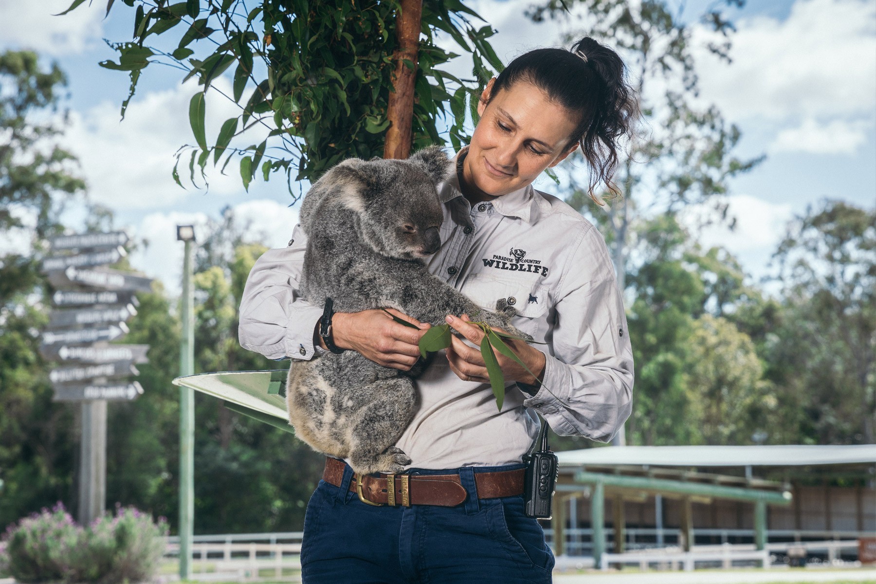 Gold Coast - 5D4N Gold Coast Fun & Country Tour | Gold Coast ...