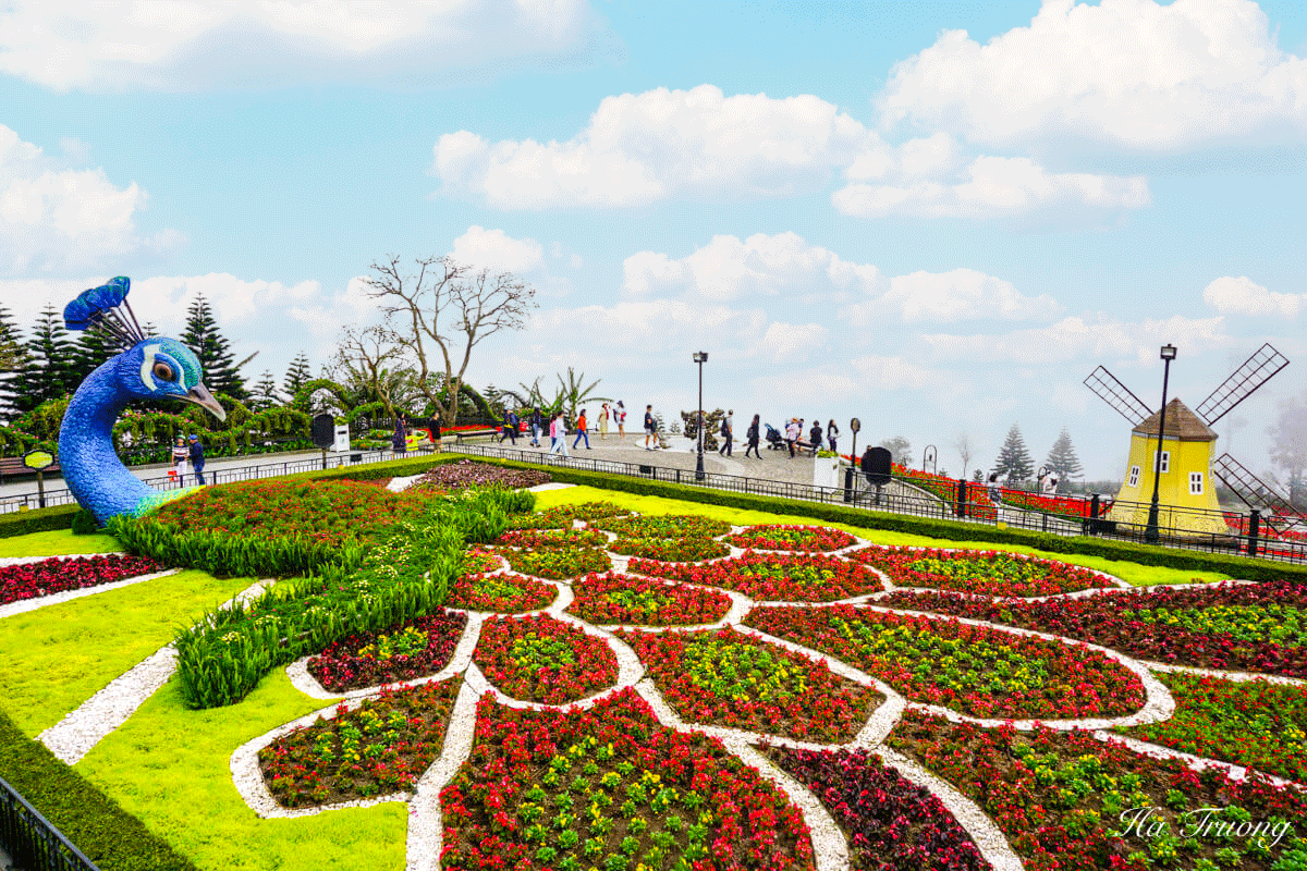 5H4M DA NANG + HOI AN + BA NA HILLS - Muslim | Da Nang | Vietnam ...