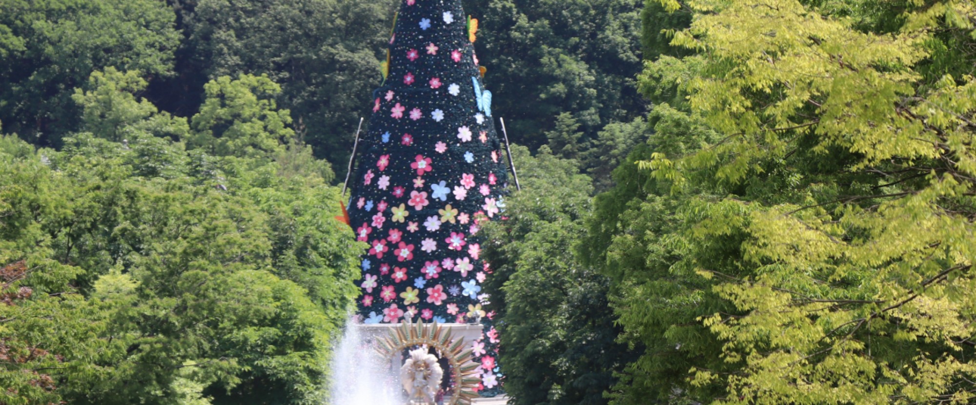 Sparkling Korea (Mon, Wed, Fri arrivals) - 5D4N (Mandarin Speaking ...