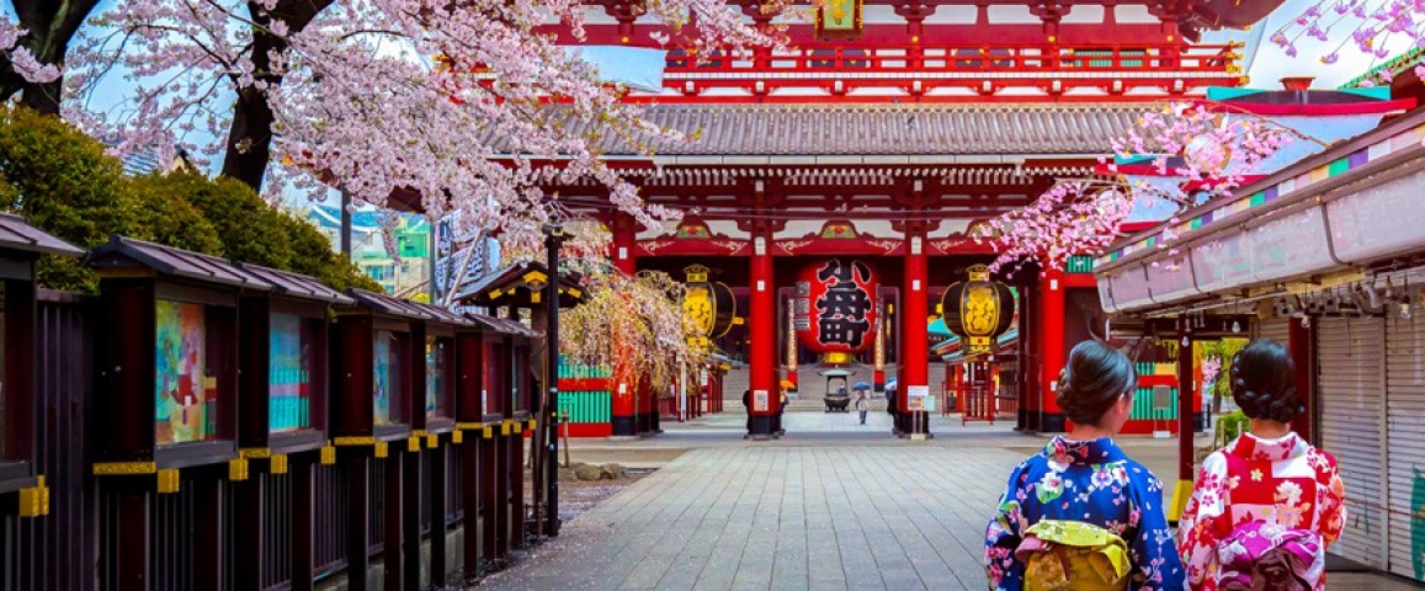 Tokyo, Fuji - 5 Days 4 Nights (Muslim Private Tour) | Tokyo (Group ...