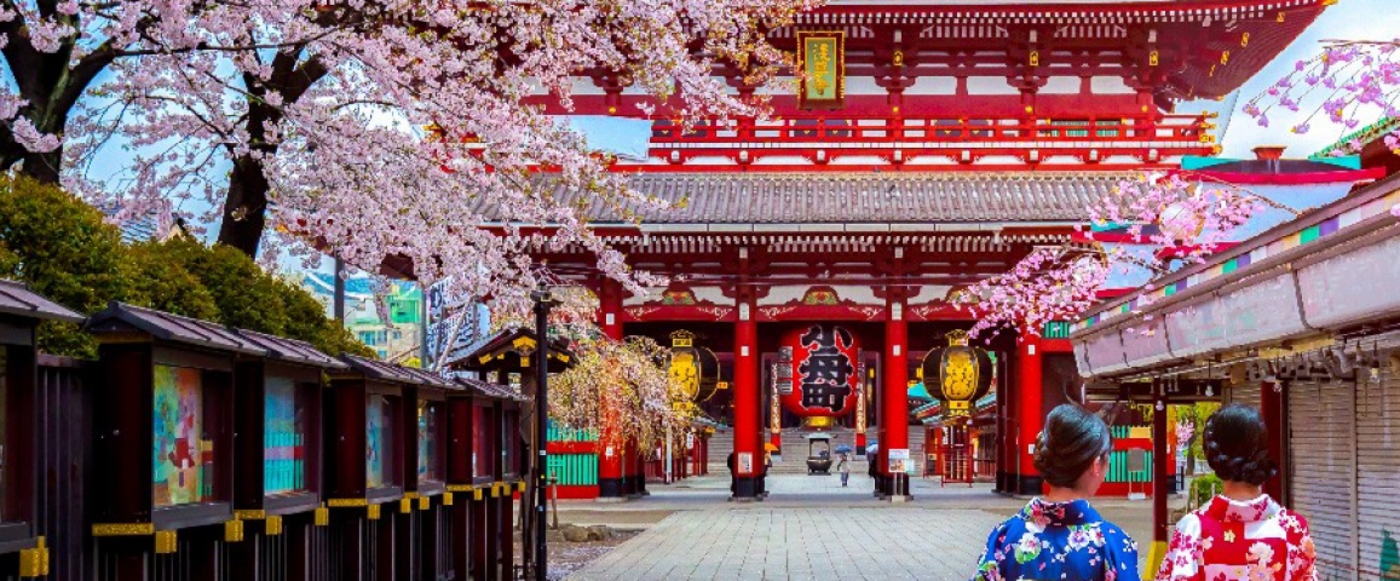 7D5N TOKYO / YOKOHAMA / MT.FUJI / KYOTO / NARA / OSAKA | Tokyo (Group ...